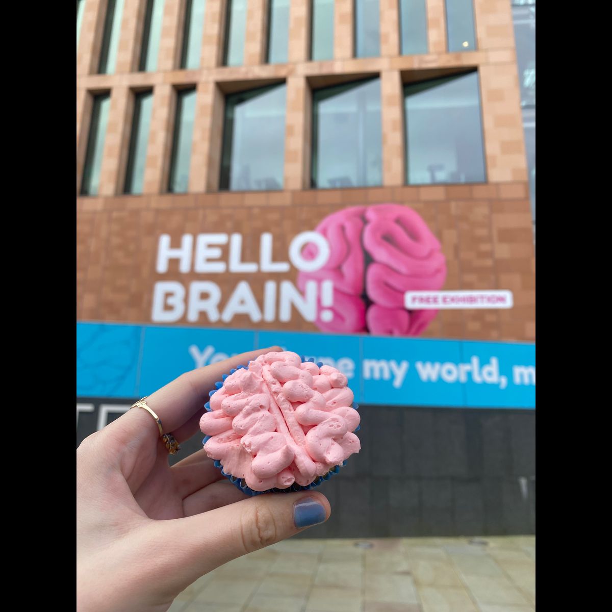 Hello Brain! at the Crick